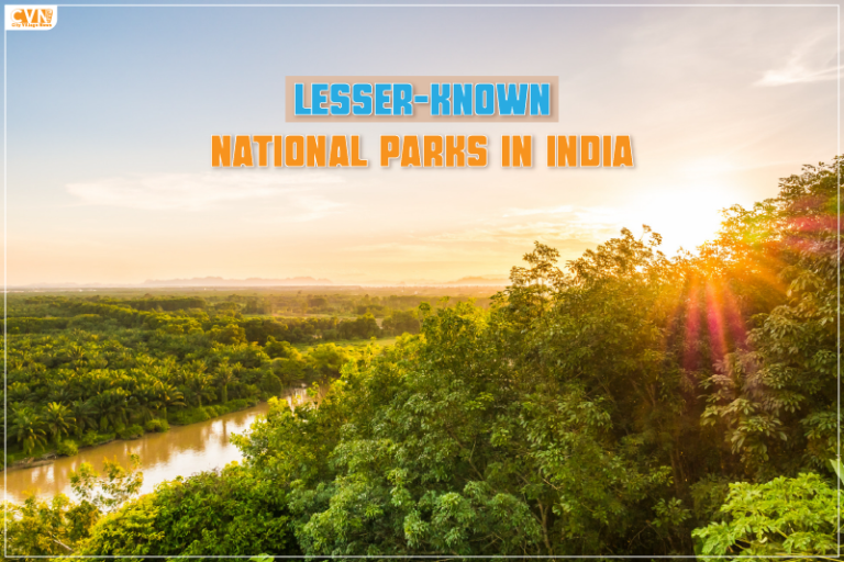 Explore Lesser-known National Parks in India